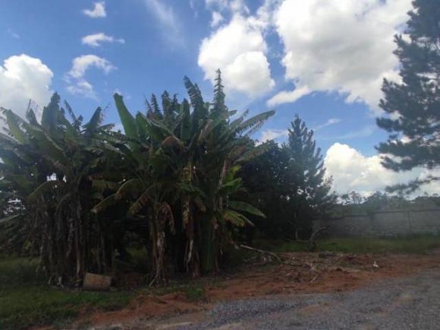 Lote no Altiplano leste/Jardim Botânico