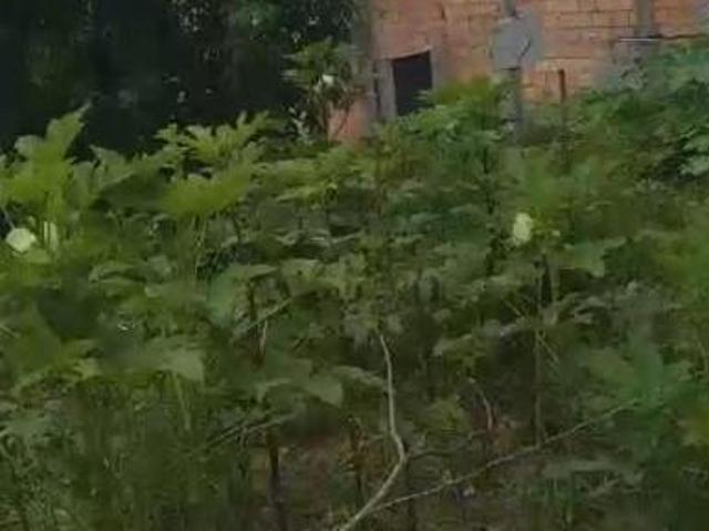LOTE NO BAIRRO VALE DA PRATA