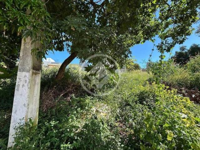 Lote no bairro Visão em Lagoa Santa MG My Broker