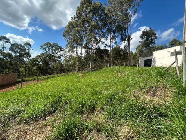 Lote no bairro Novo Horizonte