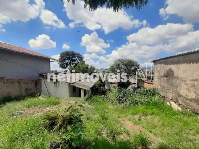 Lote no Camargos