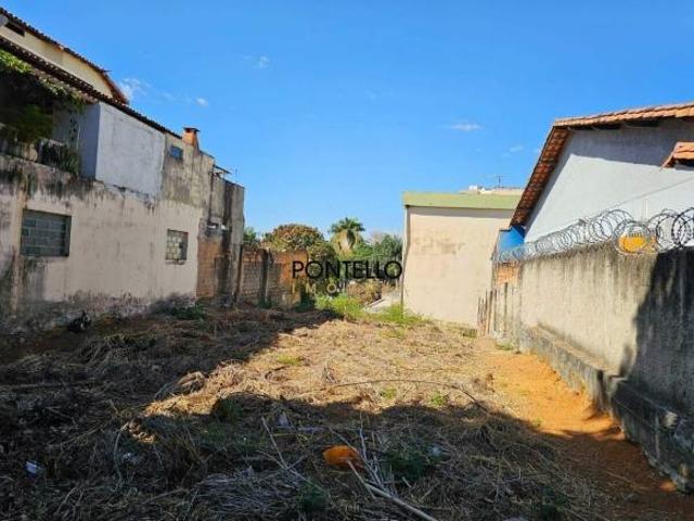 Lote no Centro