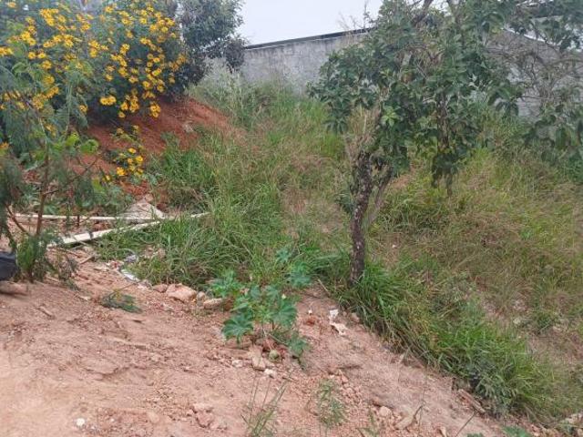 Lote no Condomínio Máximo Garden