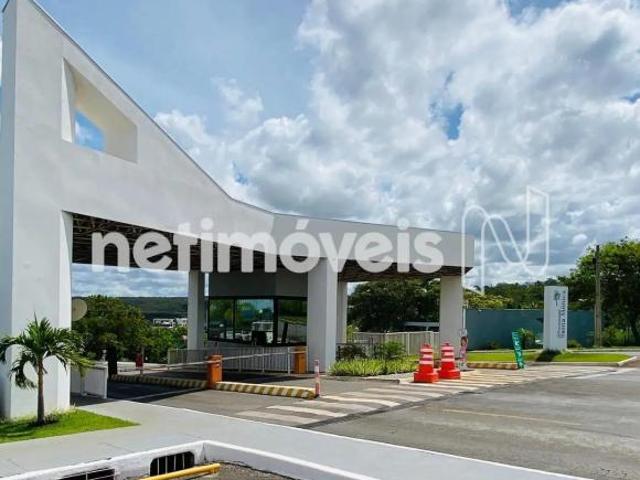 Lote no Condomínio Santa Mônica – Tororó | 3.153,37 m² | Regularizado e Pronto para Construir