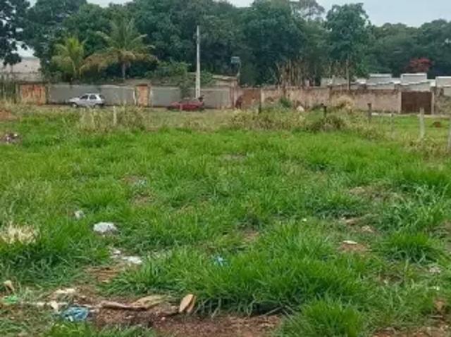 Lote no Jardim Primavera