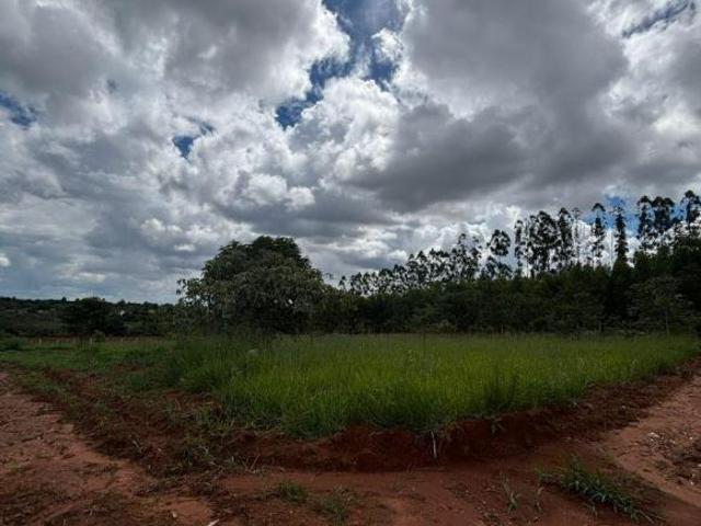 Lote no Lago Norte Bálsamo da Capoeira