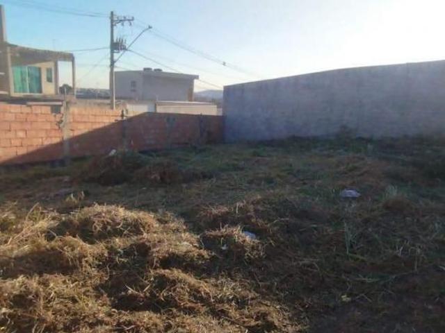 Lote no liberdade