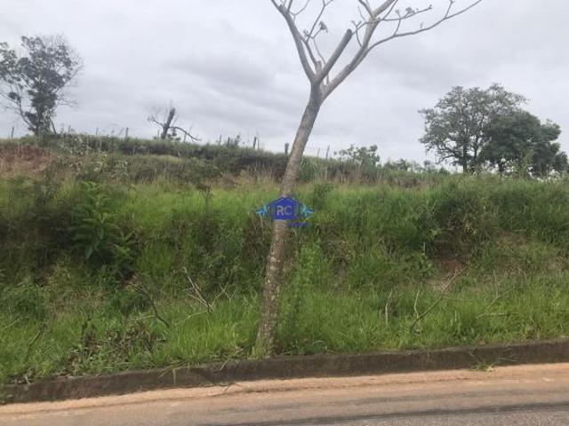 Lote no São Lucas