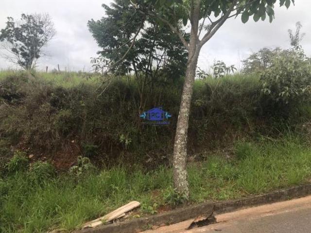 Lote no São Lucas