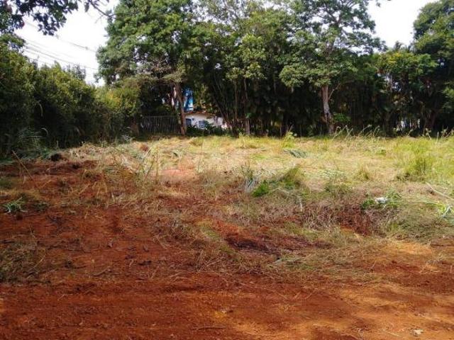 LOTE NO VICENTE PIRES DE 400m2 EXELENTE LOCALIZAÇÃO PERTO DE TUDO 98150 8787