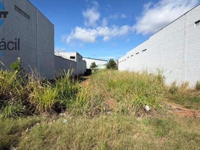 LOTE NOSSA SENHORA DE LOURDES