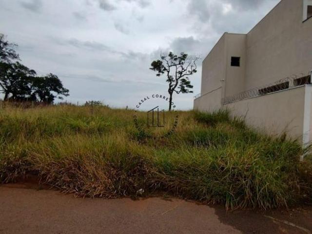 Lote Novo Mundo em São Gotardo
