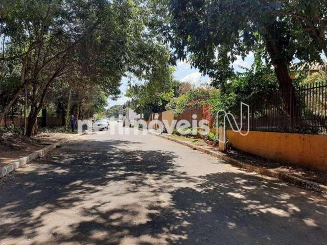 Lote | Ouro vermelho | Jardim Botanico | 947,53m²