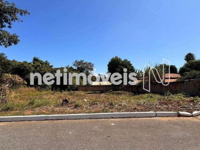 Lote | Ouro vermelho | Jardim Botanico | 947,53m²
