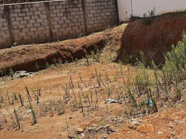 LOTE À VENDA 202M², NA TRAVESSA OLINDA FLORES CENTRO CARMÓPOLIS DE MINAS MG
