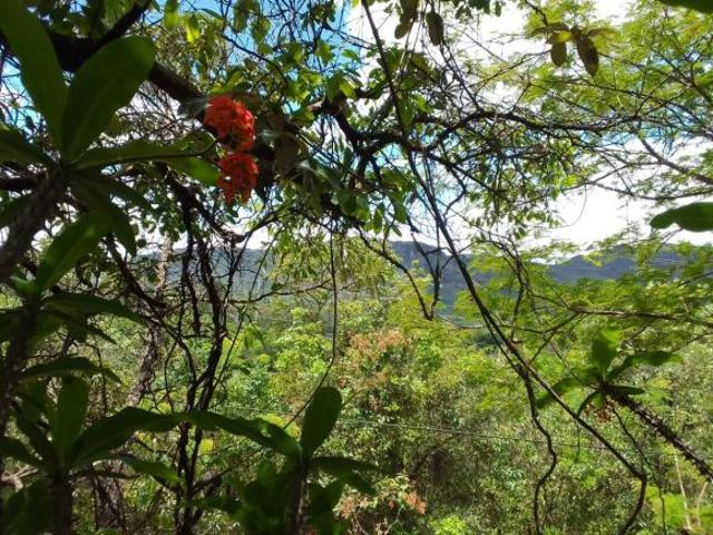 Lote à Venda – Condomínio Recanto da Aldeia, Casa Branca – Brumadinho/MG