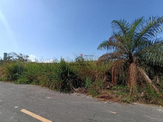 Lote a venda Bairro São João