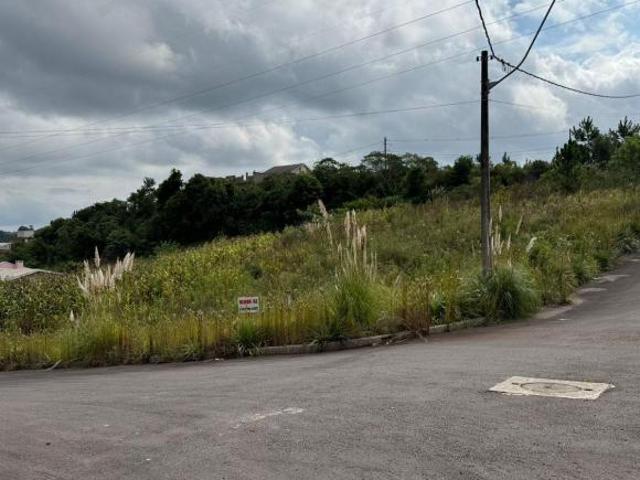 Lote à venda em Caxias do Sul, São Giácomo, 448m²