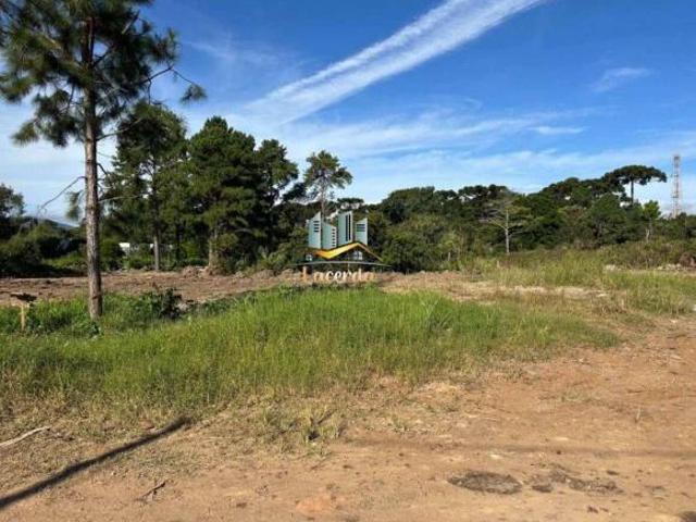 Lote à venda em Piraquara, Centro, 527m2m²