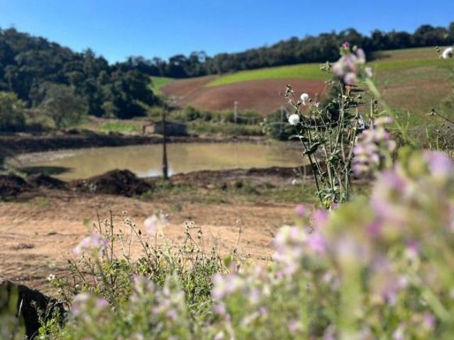 Lote à Venda em Região Tranquila de Ibiúna