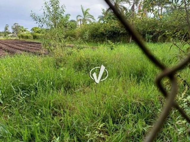 LOTE À VENDA MANDÚ PINDAMONHANGABA SP