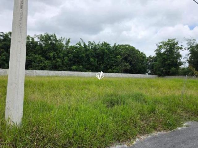 LOTE À VENDA NOVO MORUMBI PINDAMONHANGABA SP