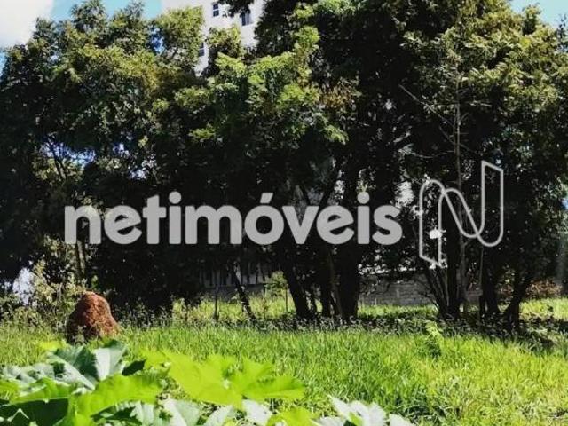 Lote à Venda no Boa Esperança – Santa Luzia/MG | 546 m² Plano e Cercado em Excelente Localização