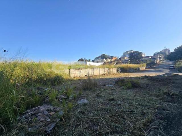 Lote à venda no bairro Ipiranga com 288 m²