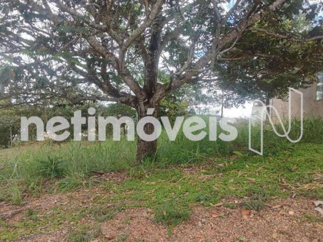 Lote a venda no Belvedere Green