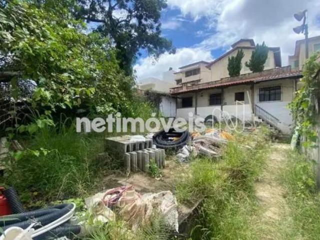 Lote a venda no Ouro Preto
