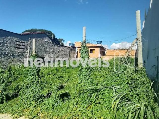 Lote à Venda no Nossa Senhora das Graças – Santa Luzia/MG | 360 m² em Ótima Localização