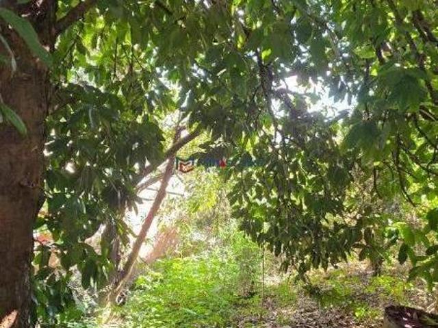 Lote à venda no Recanto Verde – Excelente oportunidade!