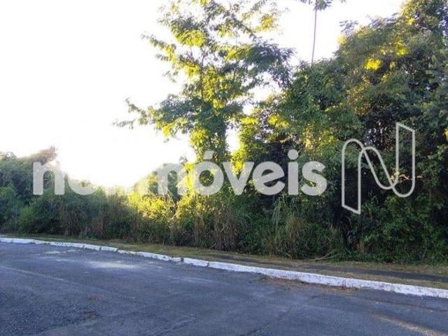 Lote a venda no Residencial Santa Mônica