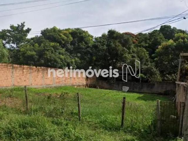 Lote a venda na Pampulha 468m²