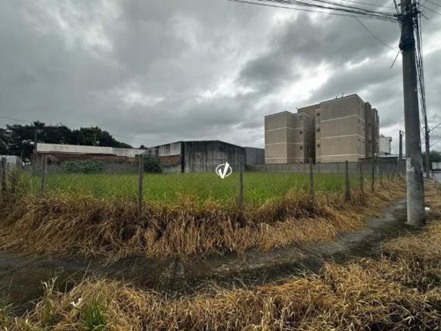 LOTE À VENDA PARQUE DAS PALMEIRAS PINDAMONHANGABA/SP