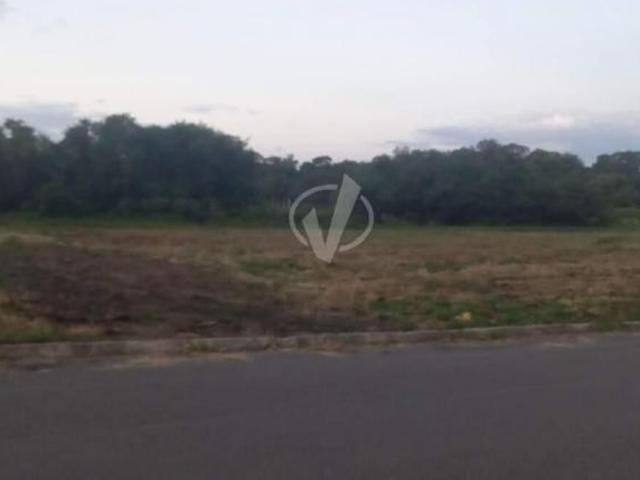 Lote à venda, Parque São Domingos Pindamonhangaba/SP