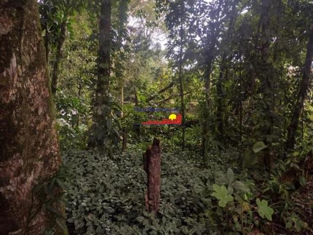 Lote | Área, Centro, Bertioga, SP