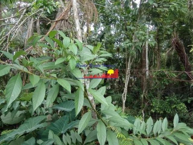 Lote | Área, Maitinga, Bertioga, SP