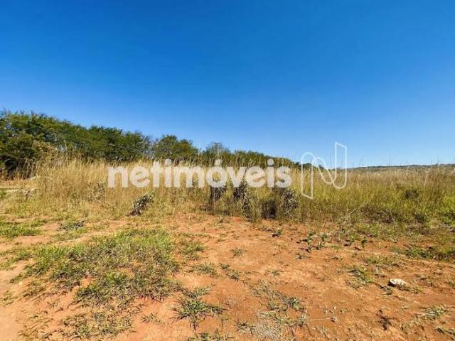 Lote Área Terreno a Venda, 5.000m²