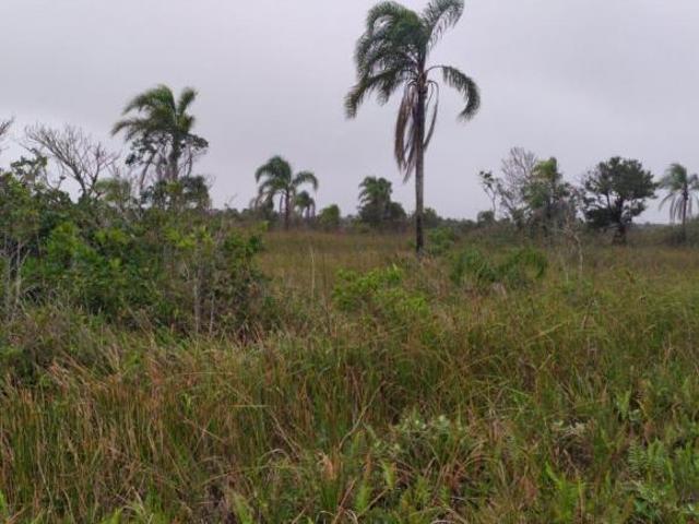 Lote Balneario Titanus