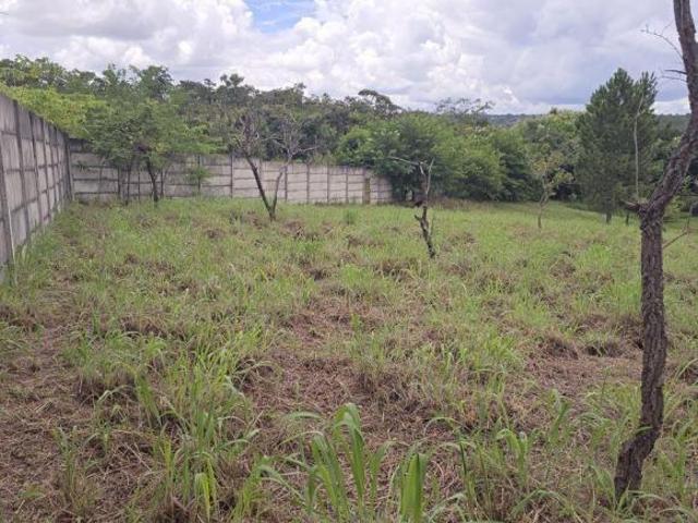 LOTE BELA VISTA