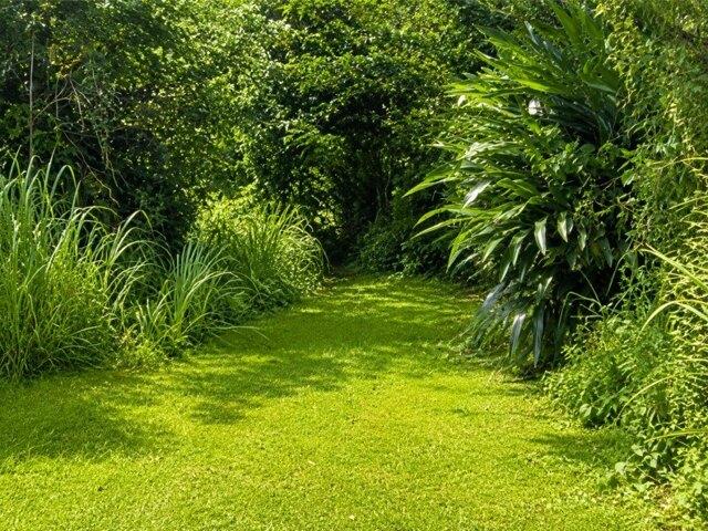 Lote Bo Palmas Carr Km Lot,guayama, Plot For Sale
