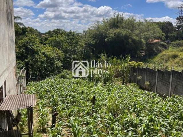 LOTE CENTRO DE BETIM