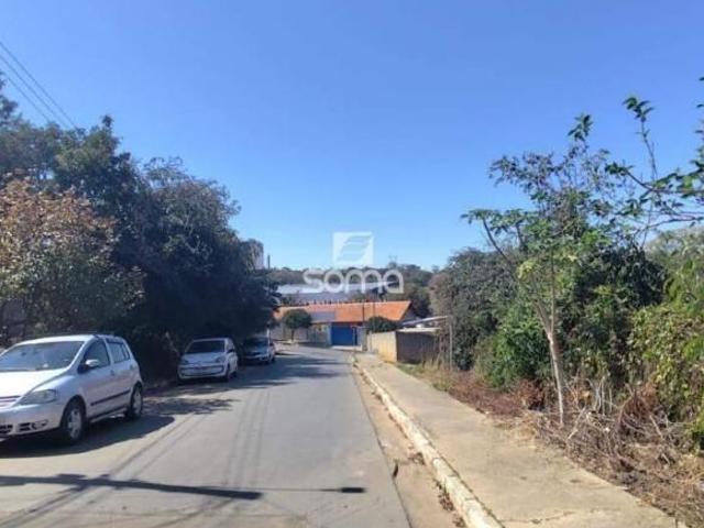 Lote com 4 casas