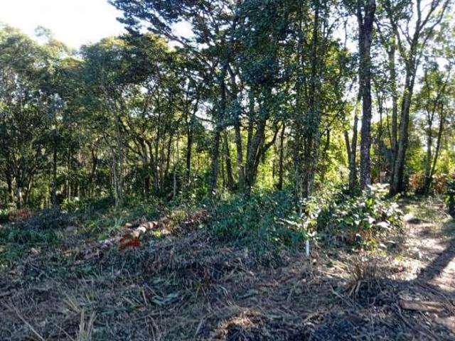 Lote com 2059m² totais a VENDA