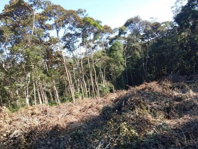 Lote com 2064m² totais a VENDA