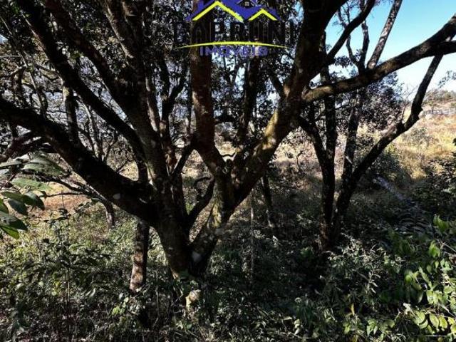 Lote com 293m2 à venda no Residencial São Bento Carmópolis de Minas MG