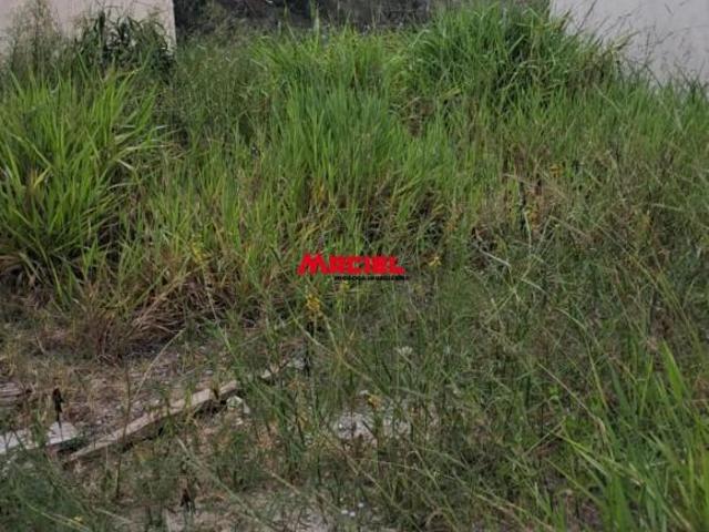 Lote com vista para área verde