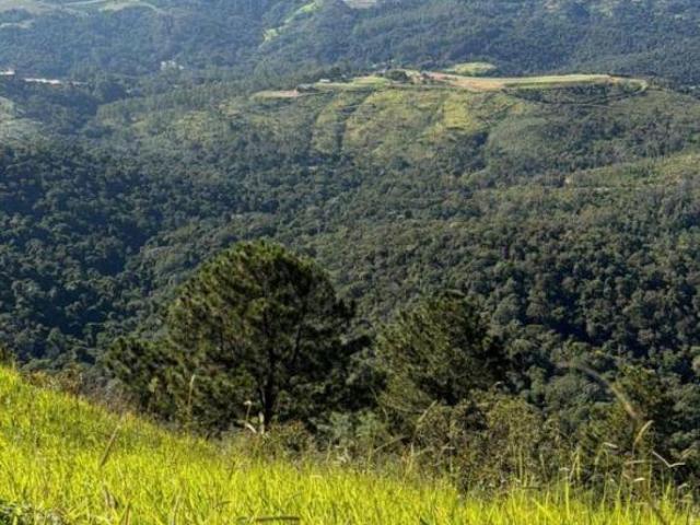 Lote com Fundo para Preservação em São Roque