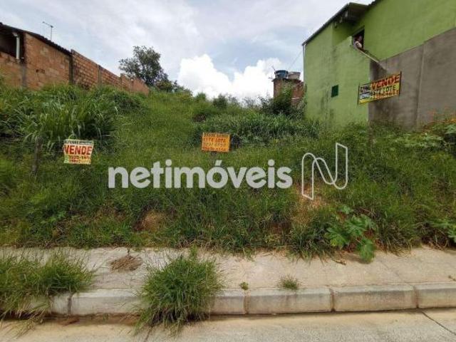 Lote com opção de construção de casas geminadas, galpão.
